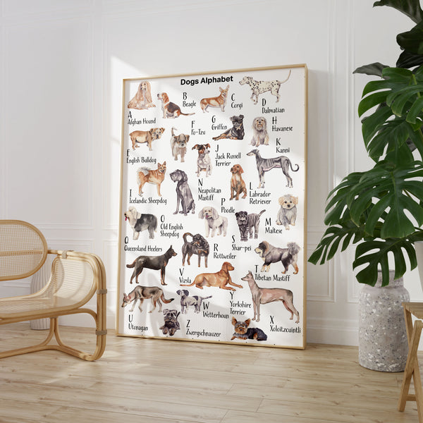 Dogs Alphabet Kids Learning Poster Print – House of Binky